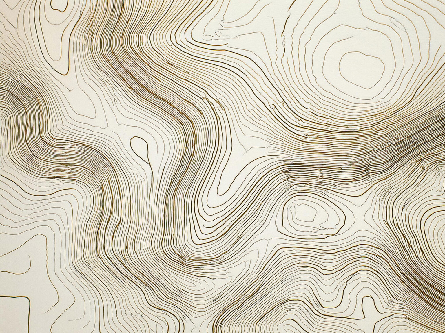 Curvas de Nivel en Topografía: ¿Para Qué Sirven?